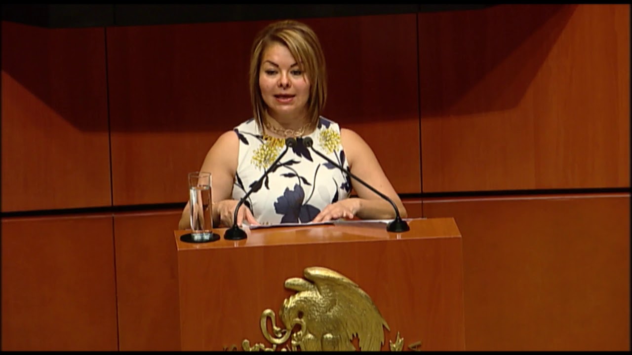 Sen. Minerva Hernández: Contribuyentes cumplidos pagan platos rotos ...