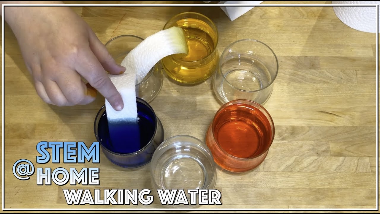 STEM @ Home - Walking Water - YouTube