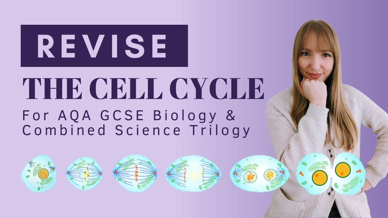 The Cell Cycle | Revise AQA GCSE Biology | Cell Biology | Paper 1 - YouTube