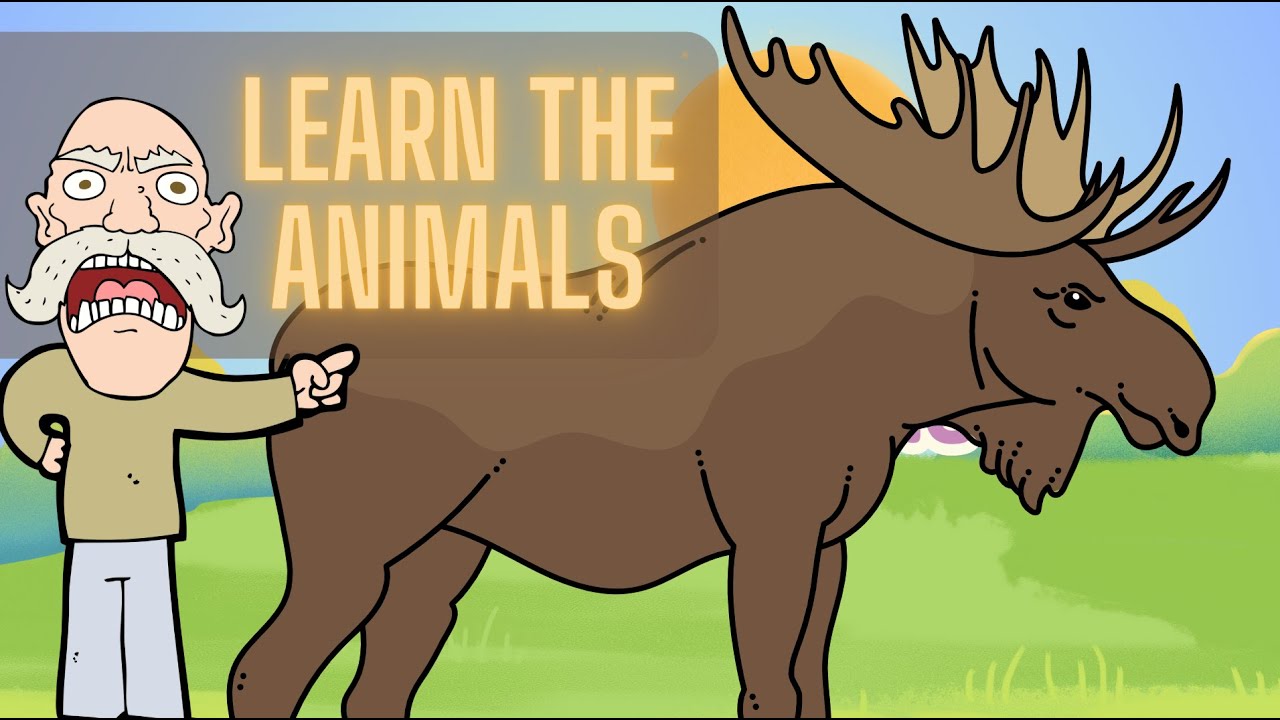 Learn About Forest Animals! | Fun Educational video for Kids | Animated ...