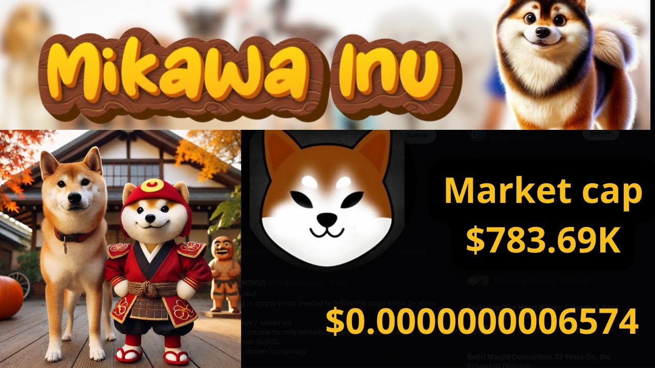 MIKAWA INU , EST-CE LE PROCHAIN SHIBA INU? GROS POTENTIEL SUR SOLANA. #MIKAWAINU #solana #memes ...