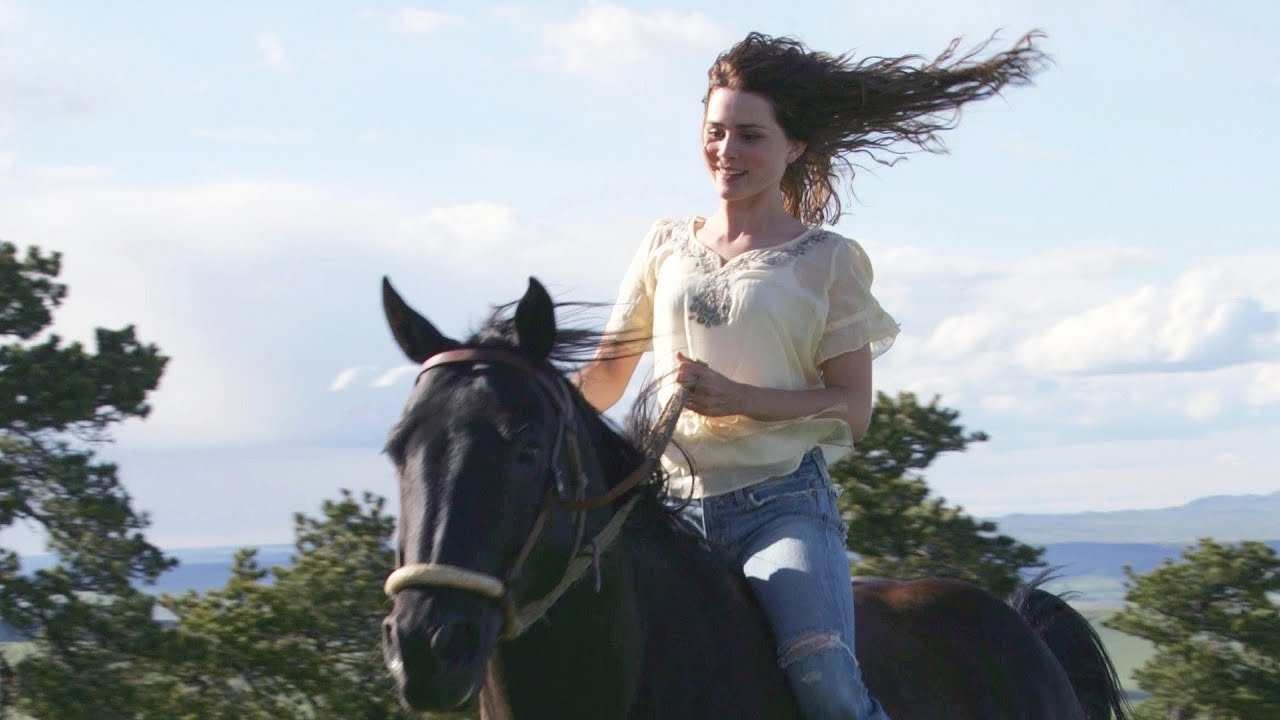 Flicka Full Movie Facts & Review in English / Alison Lohman / Tim ...