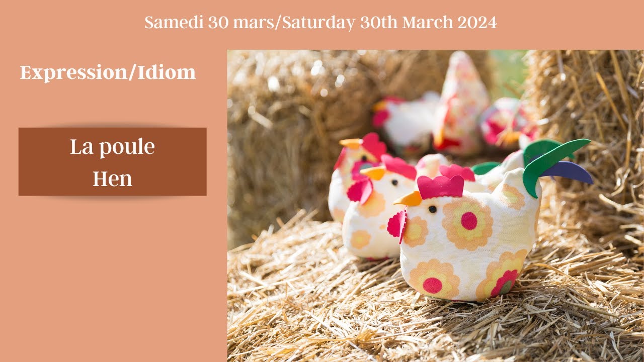 Daily French stories: La poule/Hen #french #frenchlessons #frenchwords ...