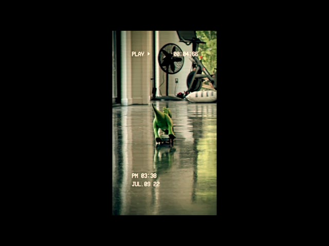 Goodbye Dinosaur Chords - Chordify