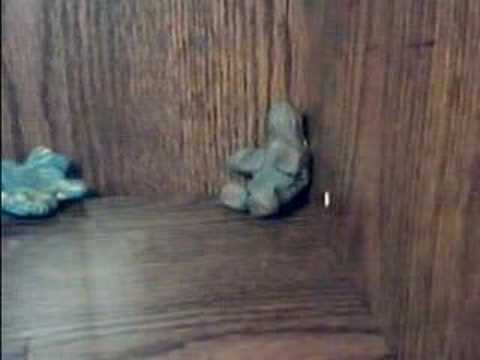 Micheal Jakson Is A Petefile - YouTube