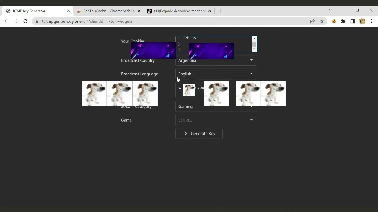 NEW BEST TikTok Streaming Key Generator - YouTube