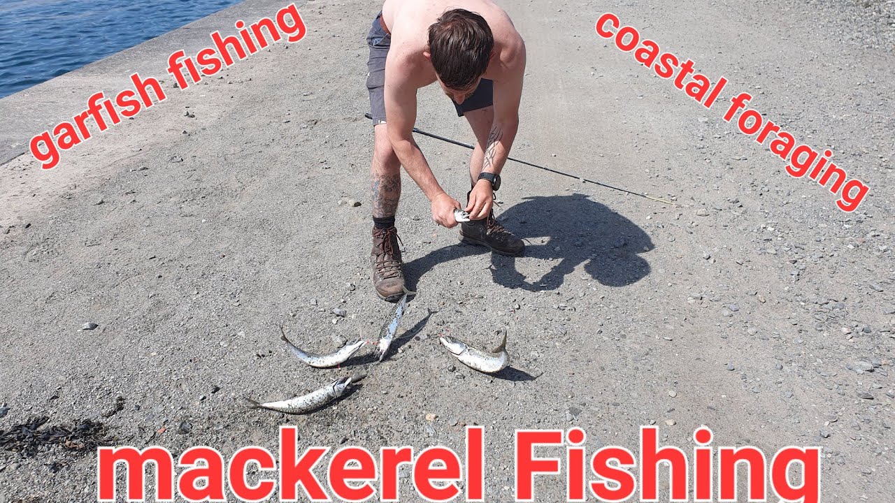mackerel Fishing garfish Fishing coastal foraging North Welsh Manai and Holly head - YouTube