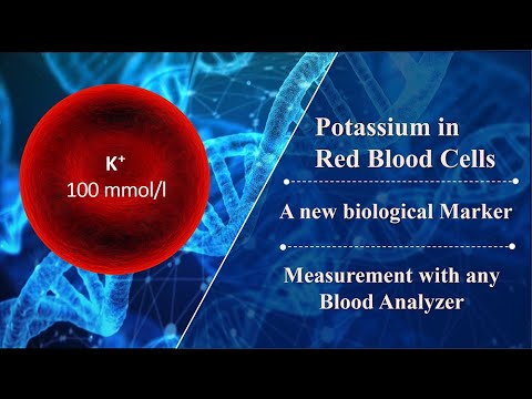 Potassium in Red Blood Cells - YouTube
