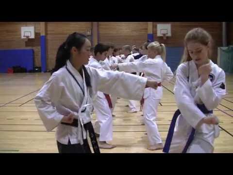Part2: Master Anna Kim, 6 Dan Taekwondo. Training session Part 2 of 2