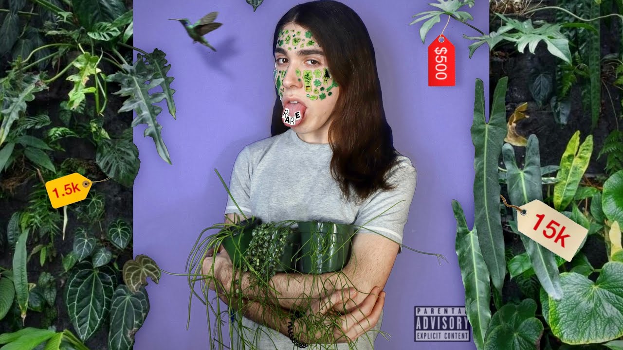 What's the Real Motive Behind 'Rare Plant' Hoarding? | A Social ...