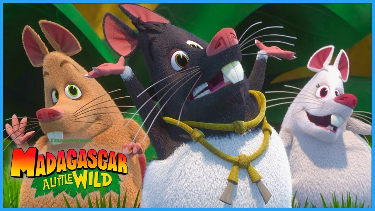 Gloria and the Friendly Rats 🐀 | Madagascar: A Little Wild | DreamWorks ...