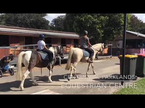 Centennial Parklands Equestrian Centre, Moore Park - YouTube