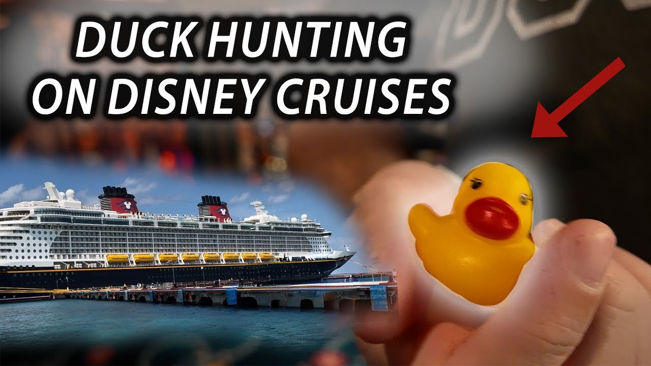 Duck Hunting on the Disney Treasure | Tips for Finding Hidden Ducks ...