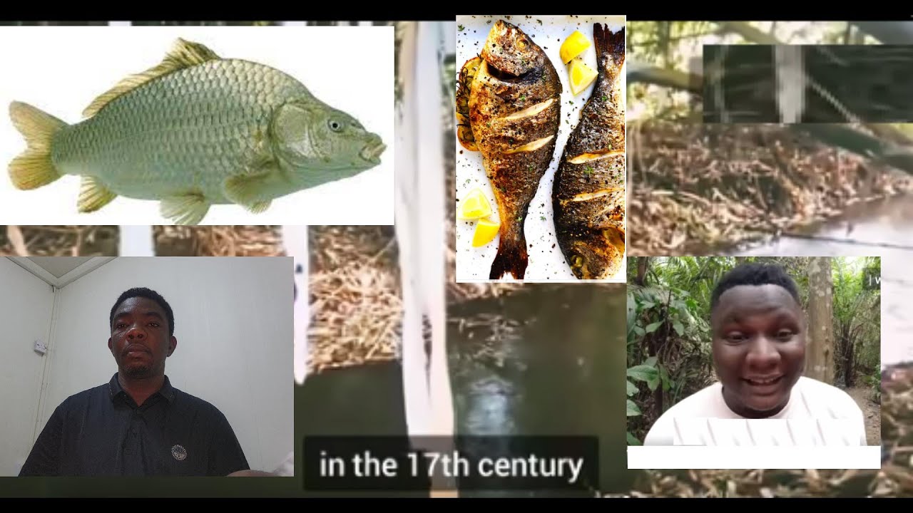 Mysterious Fish from a cursed river| That Can't Be Cooked no matter the ...