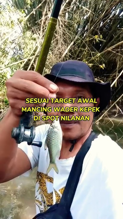sesuai target‼️mancing wader kepek di spot nilanan #mancing #mancingwader #trendingshorts - YouTube