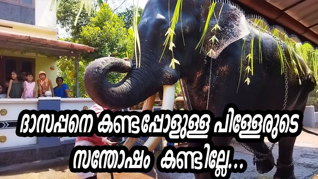 thechikottukavu devidasan II ദാസപ്പനെ കണ്ടപ്പോളുള്ള പിള്ളേരുടെ സന്തോഷം ...