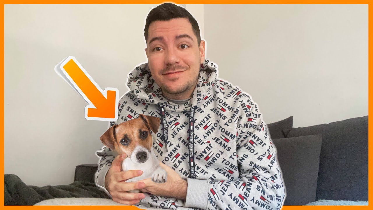 ΠΗΡΑ ΣΚΥΛΟ ΓΙΑ 24 ΩΡΕΣ! 🐶 - YouTube