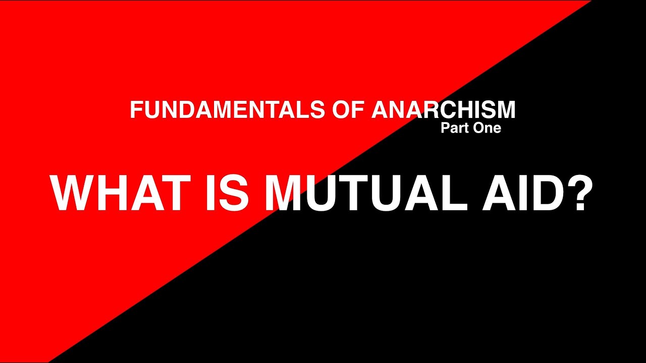 What Is Mutual Aid? Fundamentals Of Anarchism: Part One - YouTube