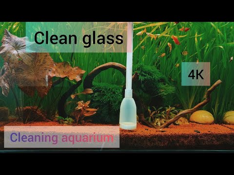 How to clean A fish tank aquarium&How to clean Aquarium glass/hard ...