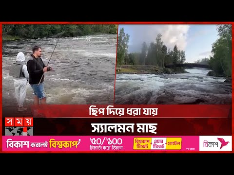 প্রাকৃতিক সৌন্দর্যের লীলাভূমি নরওয়ে | Norway | Otterholt Foss Lake | Salmon Fish | Somoy TV
