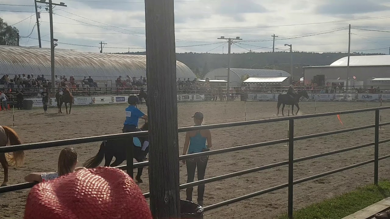 Wee Man Mounted Games Fall Fair Horse Show 2018 - YouTube
