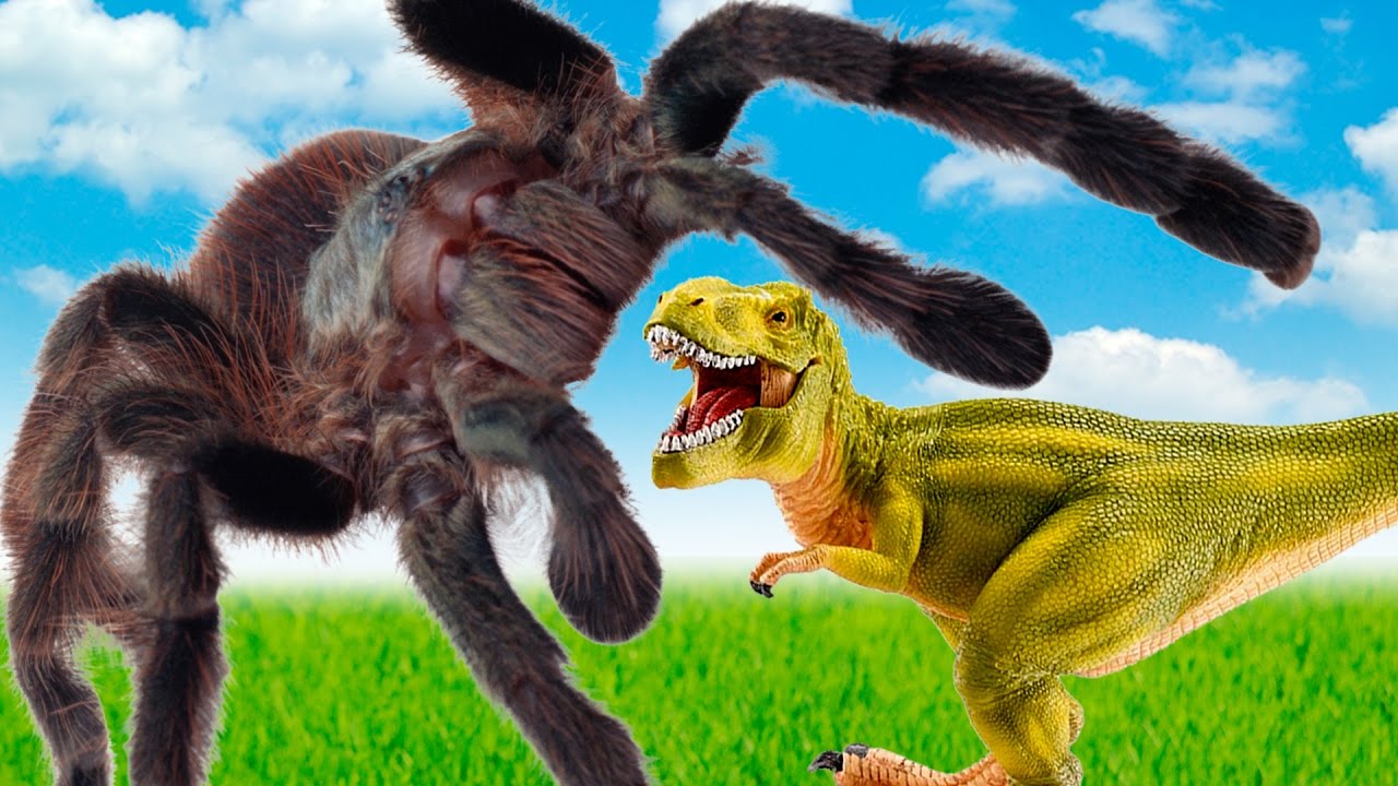 Dinosaurs - Tyrannosaur VS The biggest Spider in the dinosaurs’ valley ...