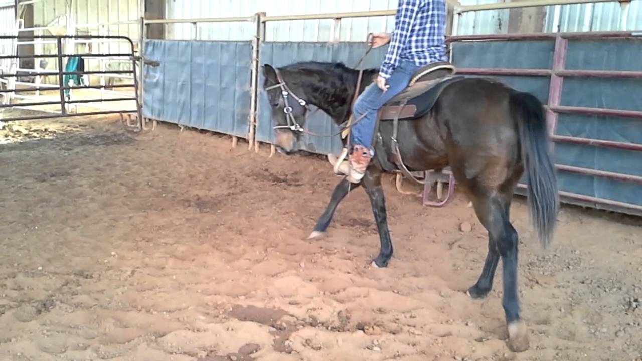 2ndRide3yrold by Justin Thigpen Trainer.mp4 - YouTube