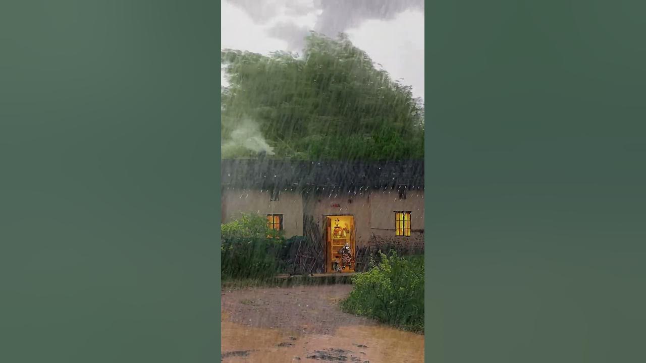 The Sound Of Rain Meditation Autogenc Training Deep Sleep Relaxing