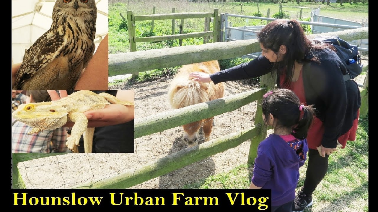 Hounslow Urban Farm | Day Vlog - YouTube