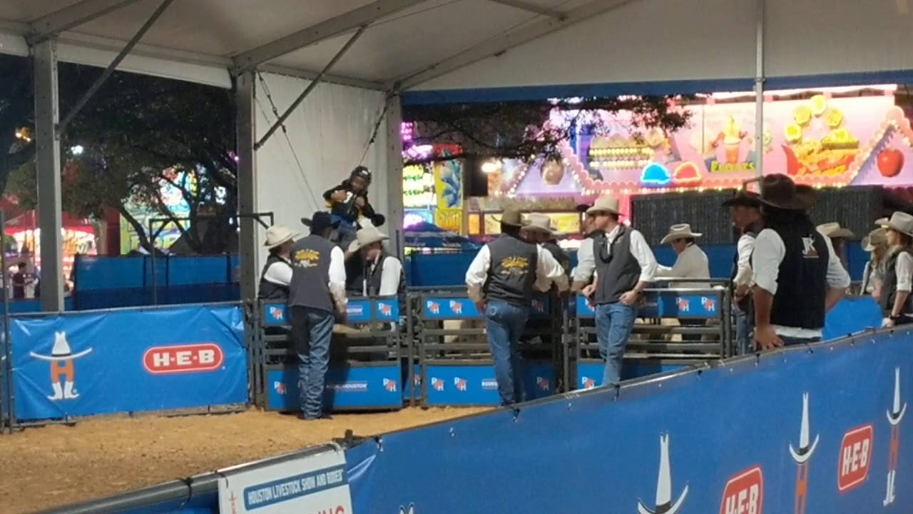 Houston Rodeo 2020 Mutton bustin champion run Thomas Bruce - YouTube