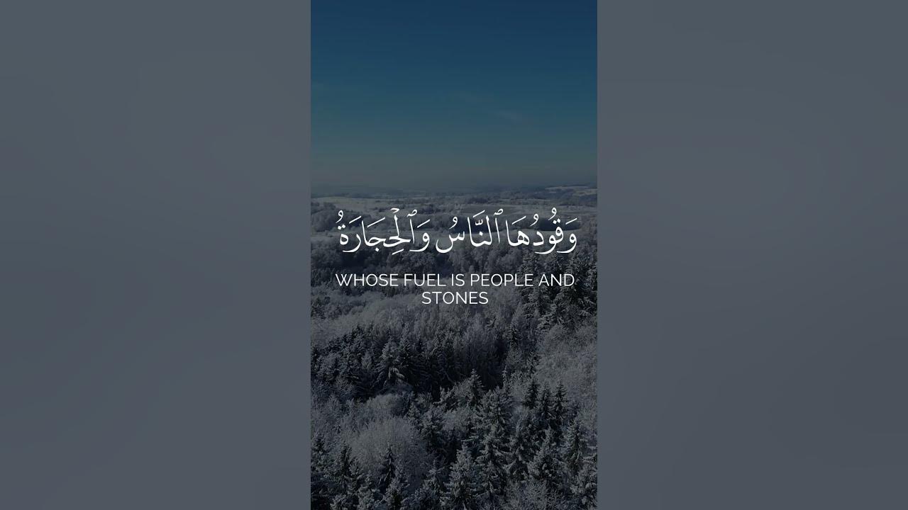 ياسر الدوسري يا أيها الذين آمنوا قوا أنفسكم وأهليكم نارا سورة