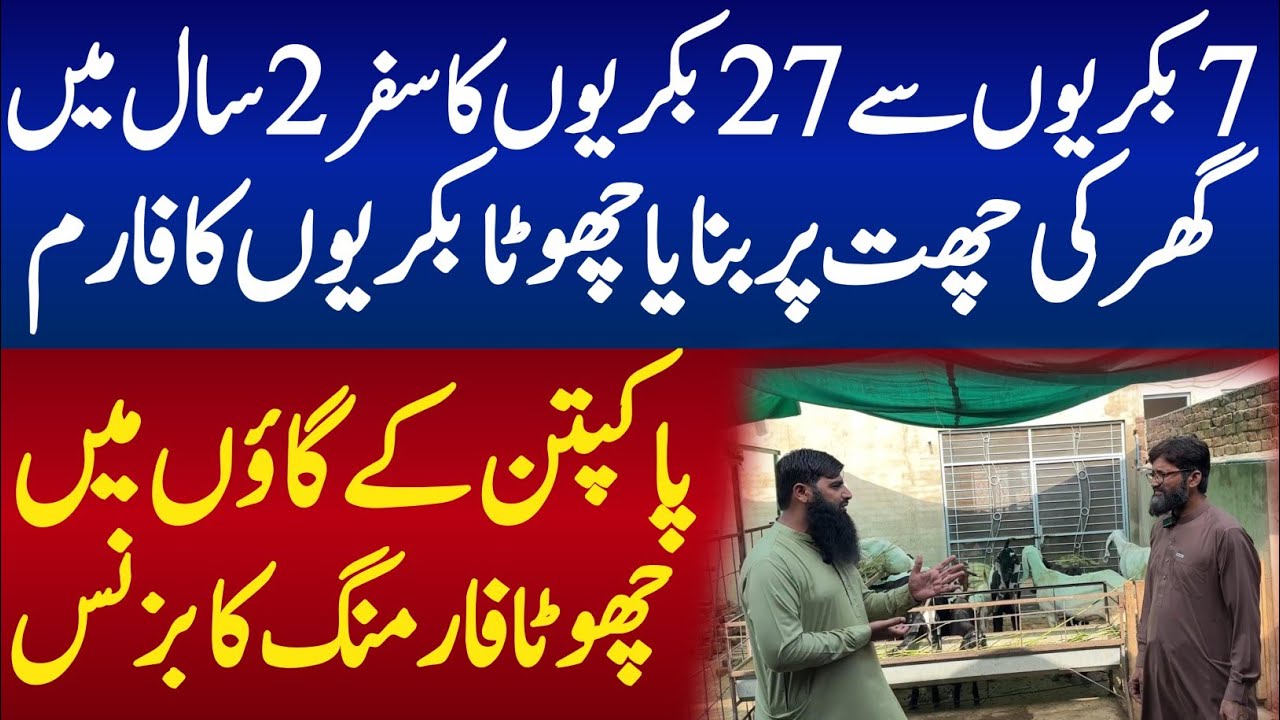 Small Goat Farming Business idea in Pakistan 2026 - YouTube