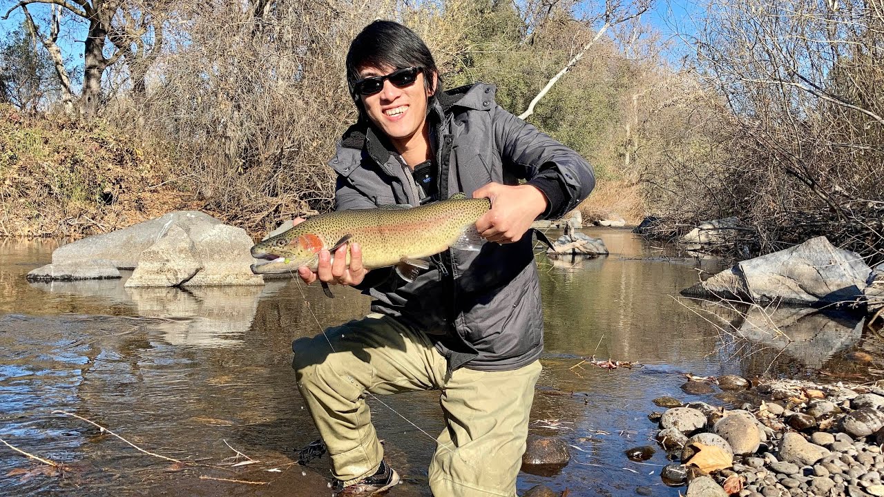 Giant Rainbows on the fly!!!! fly fishing lower kings river! - YouTube
