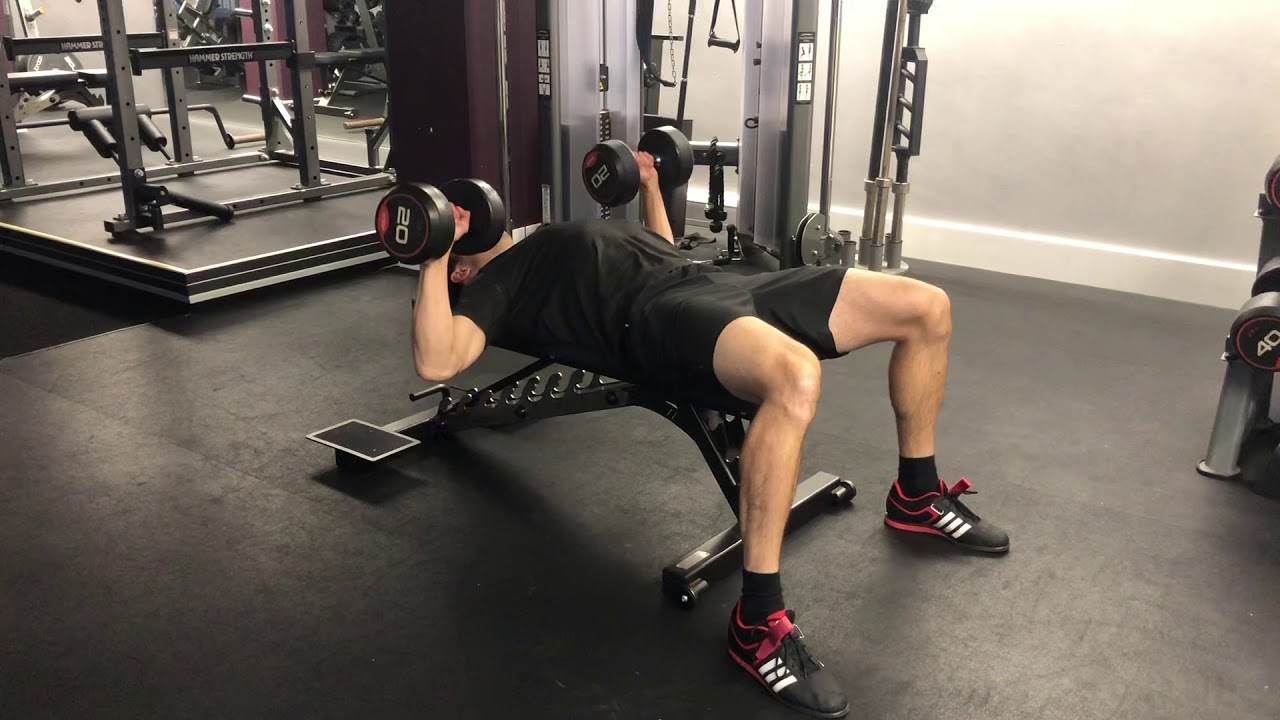 Flat Bench - Pronated Grip - DB Press - YouTube