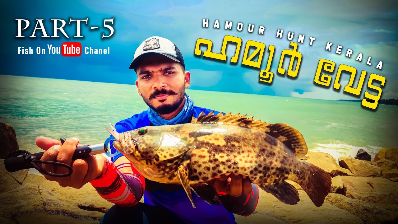 HAMOUR FISHING KERALA, GROUPER FISHING, by FISH ON - YouTube