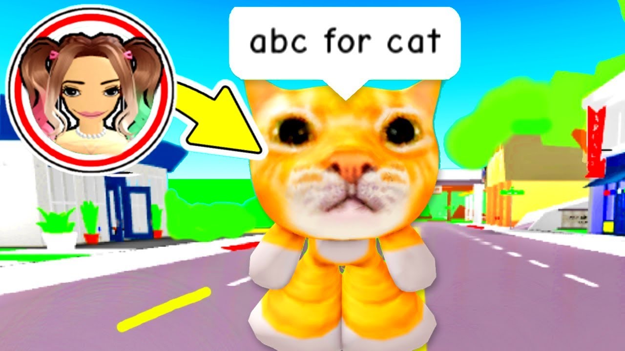I Became A CAT in Brookhaven!🤣 - YouTube