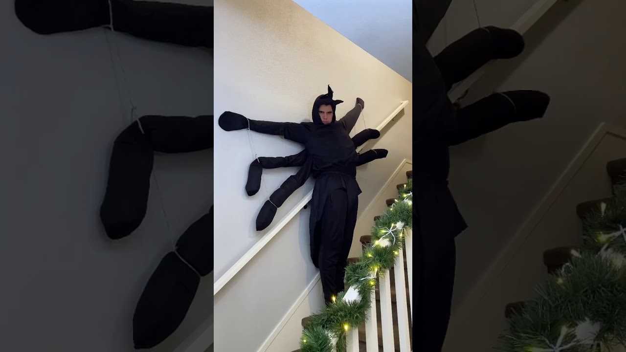 INSTAGRAM REELS 😎 HUMAN VS SPIDER - YouTube