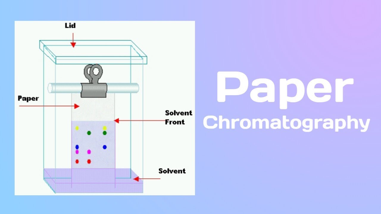Paper Chromatography Explained YouTube paper-chromatography-explained-youtube