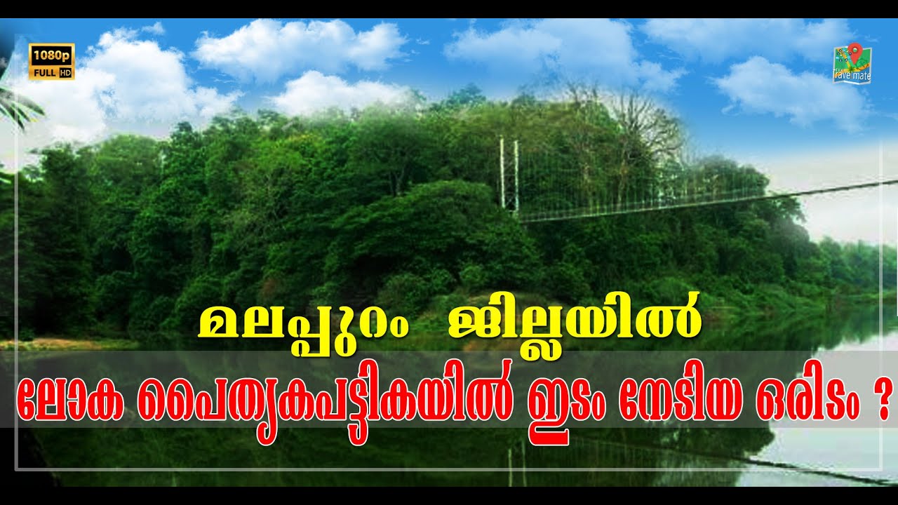 Cannoli Plot | Nilambur | world’s Oldest Teak plantation | Malappuram ...