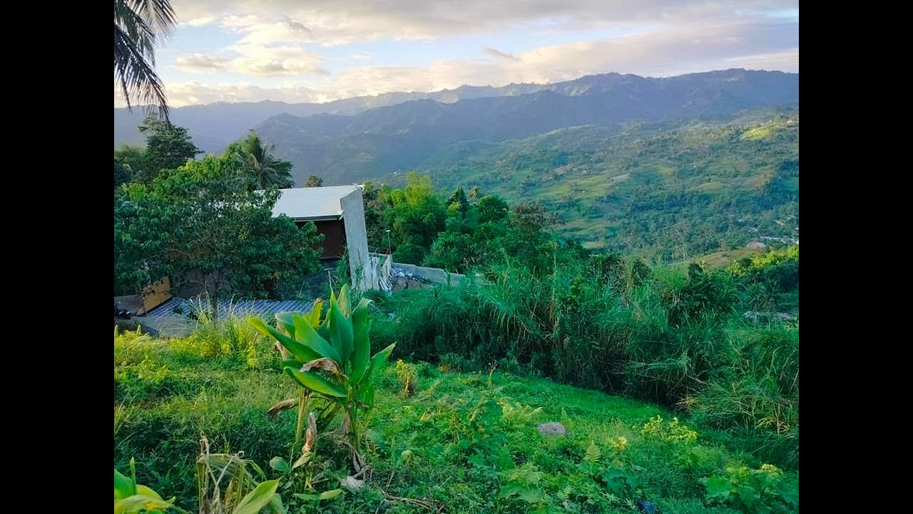 Overlooking Lot for sale 9,000 sqm title Busay Babag Cebu City ...