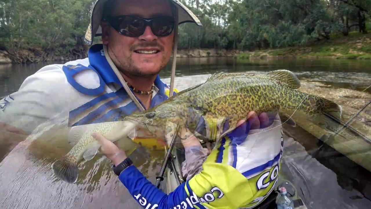 Murray Cod Kayak Fishing With A Mate - YouTube