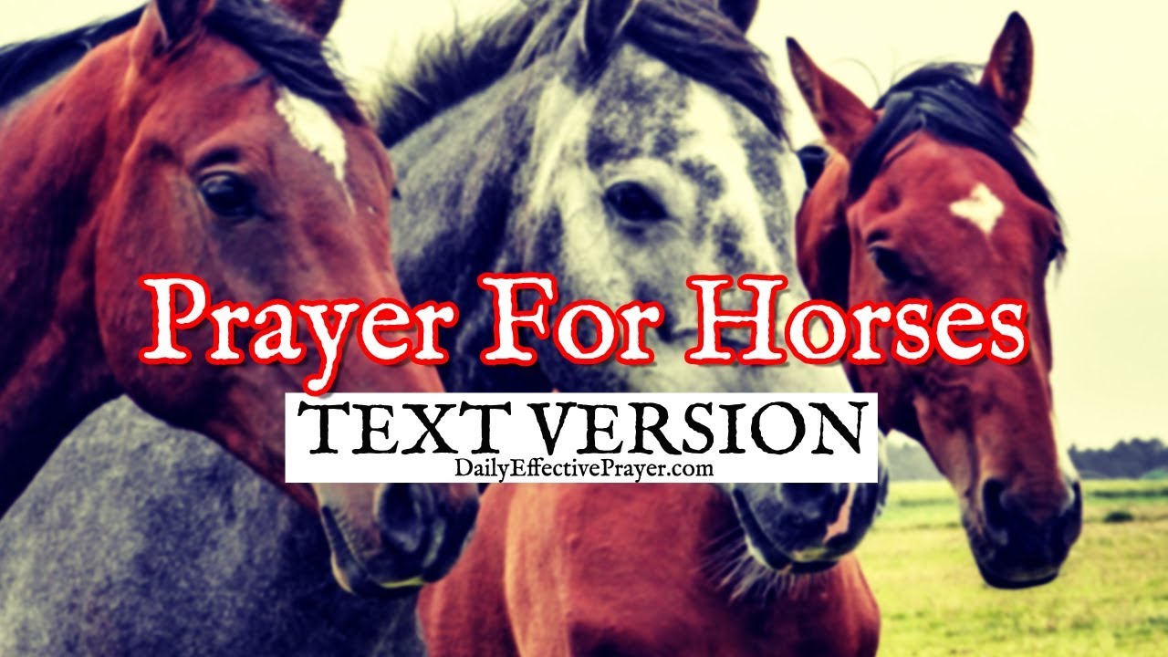 Prayer For Horses (Text Version - No Sound) - YouTube