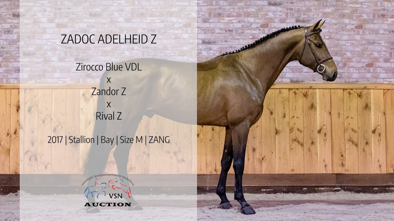 Zadoc Adelheid Z (v.Zirocco Blue VDL x Zandor Z) - YouTube