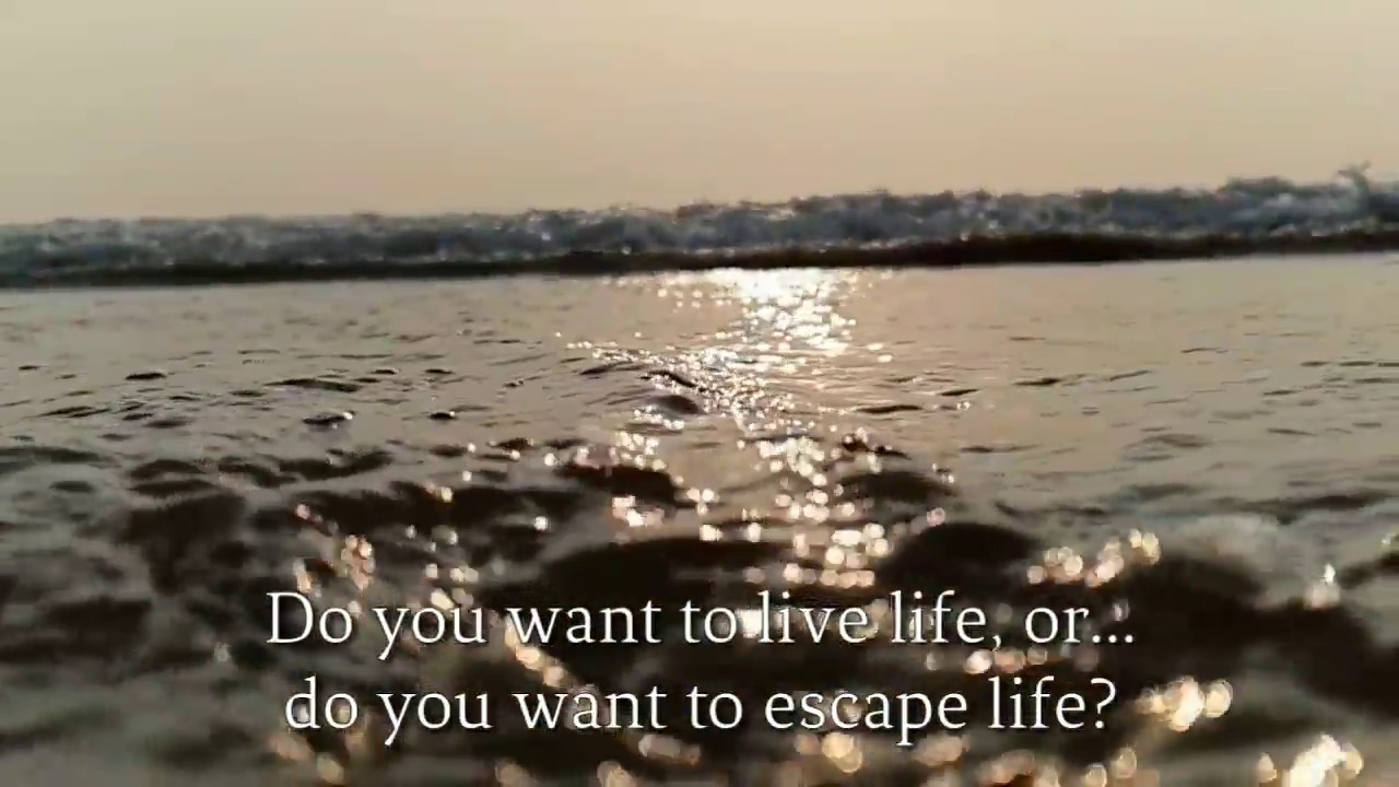 Inspiring Slow motion video - Live life - YouTube