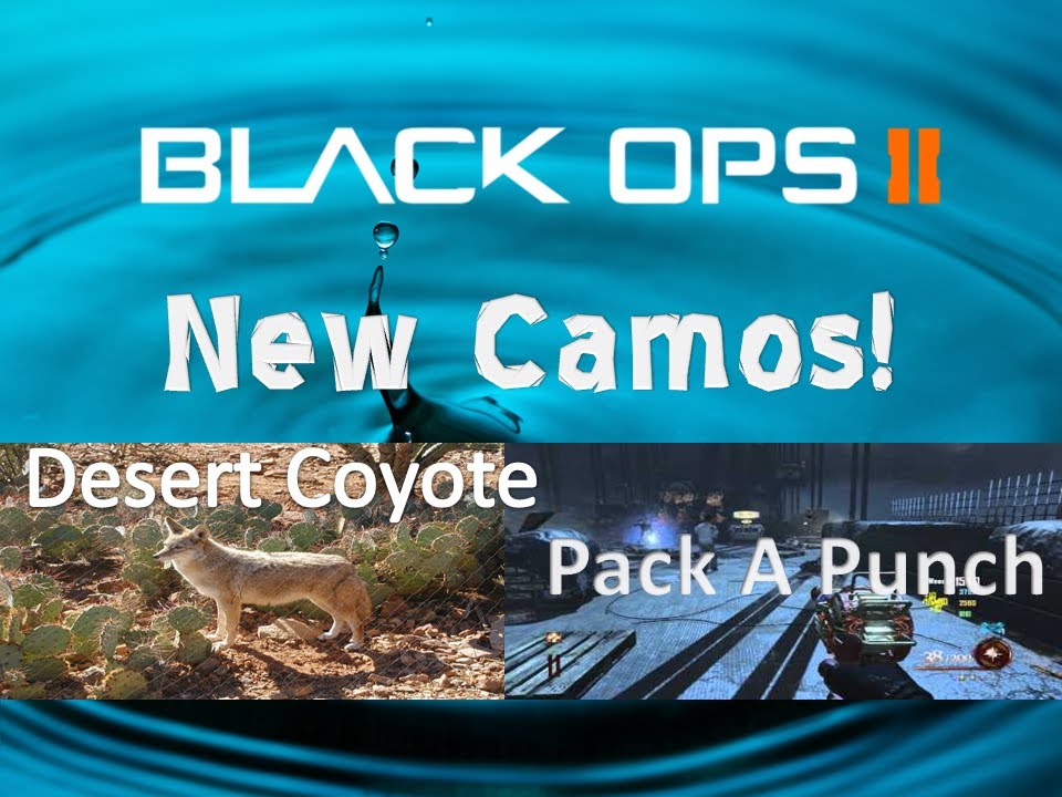 Black Ops 2 NEW Camos! Pack A Punch, Aqua, Rouge, Glam, And More! - YouTube