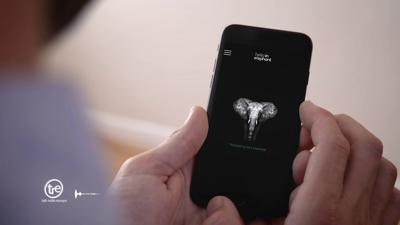 Hello in Elephant Case Study via WhiteGrey - YouTube