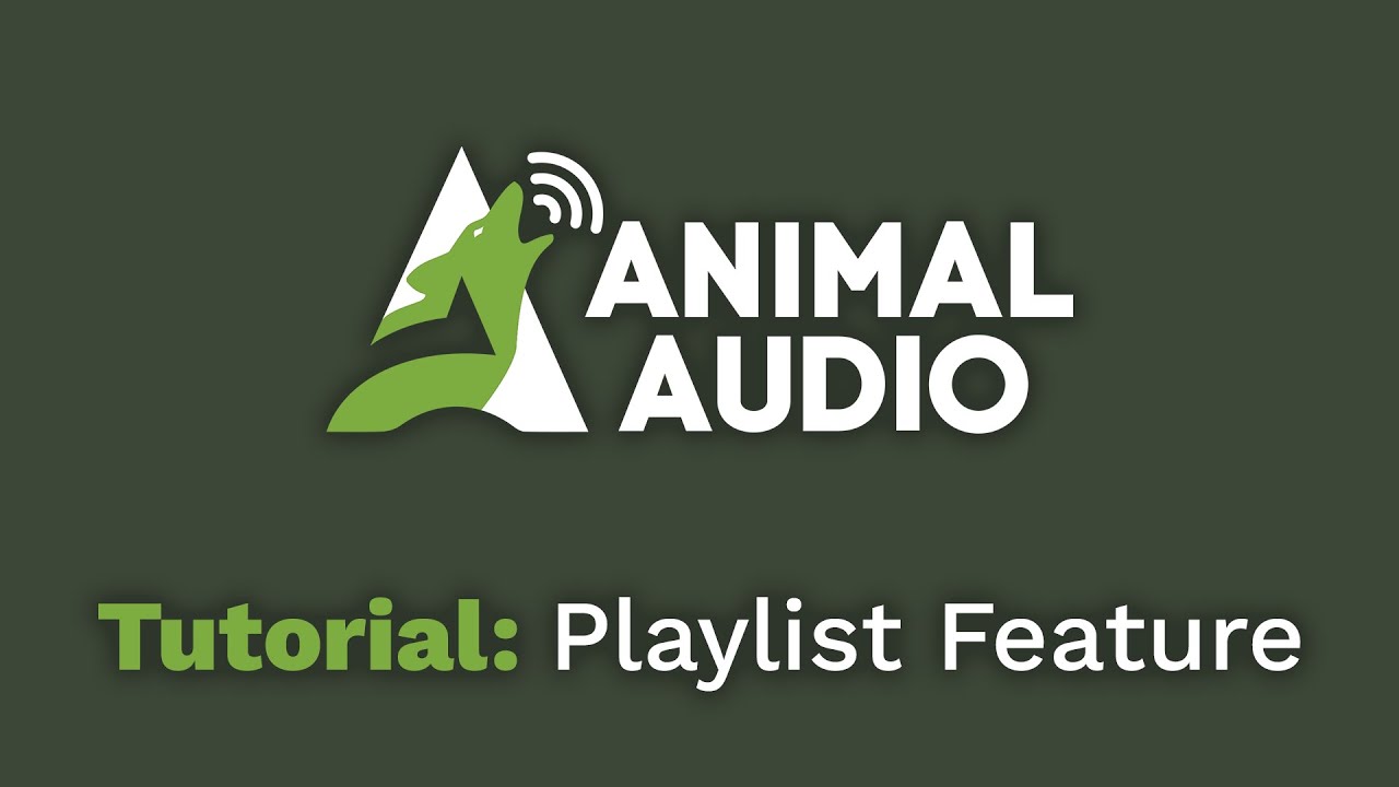 Animal Audio Playlist Tutorial - YouTube