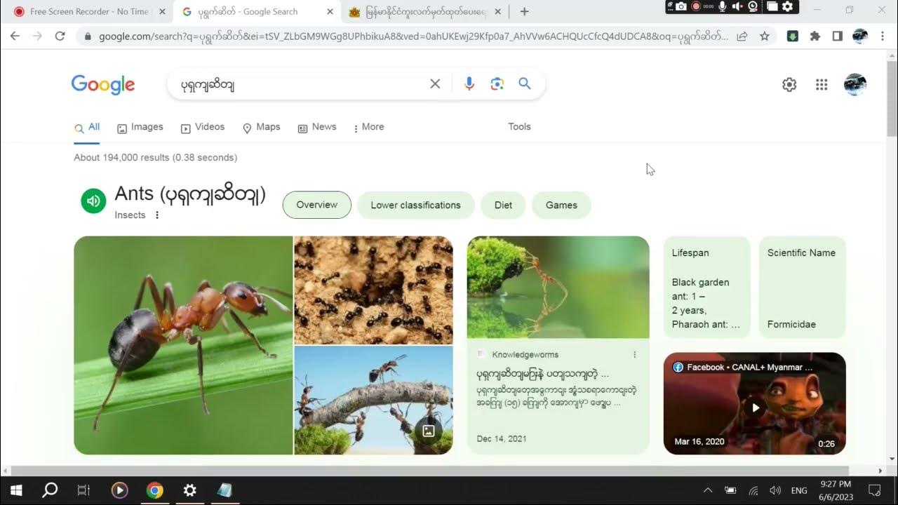 Fix myanmar unicode font display in browsers - YouTube