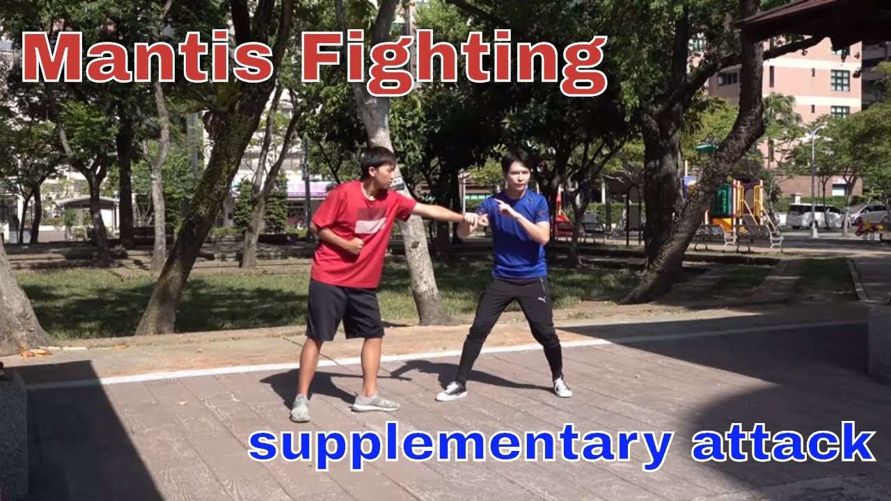 Praying Mantis Fighting | supplementary attack | Leon Chu - YouTube