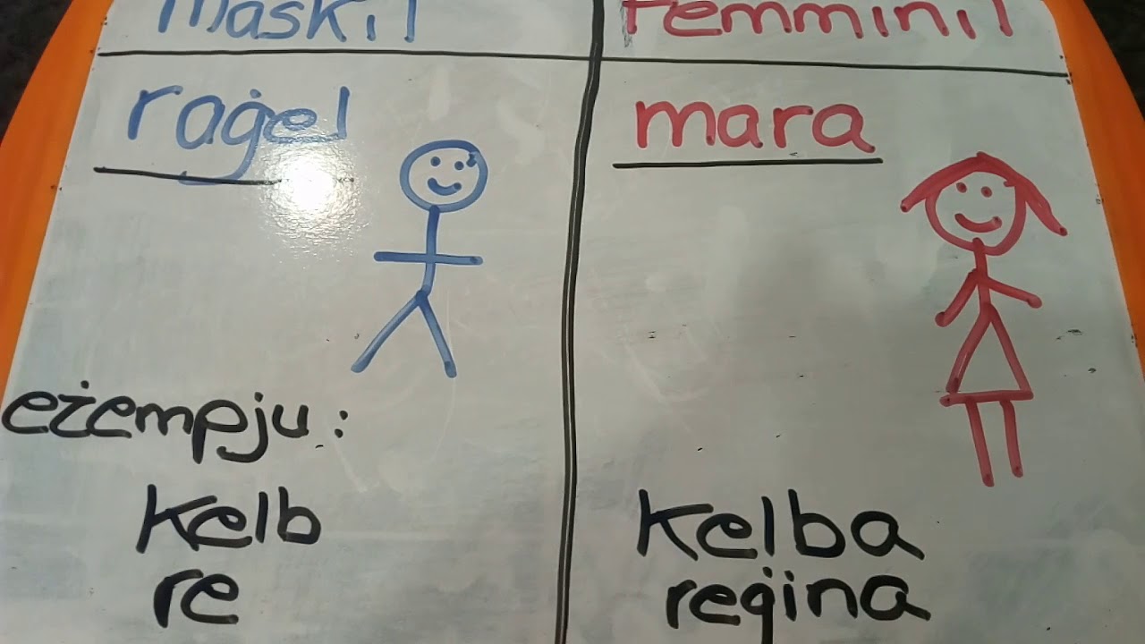 Maskil jew Femminil spjegazzjoni - YouTube